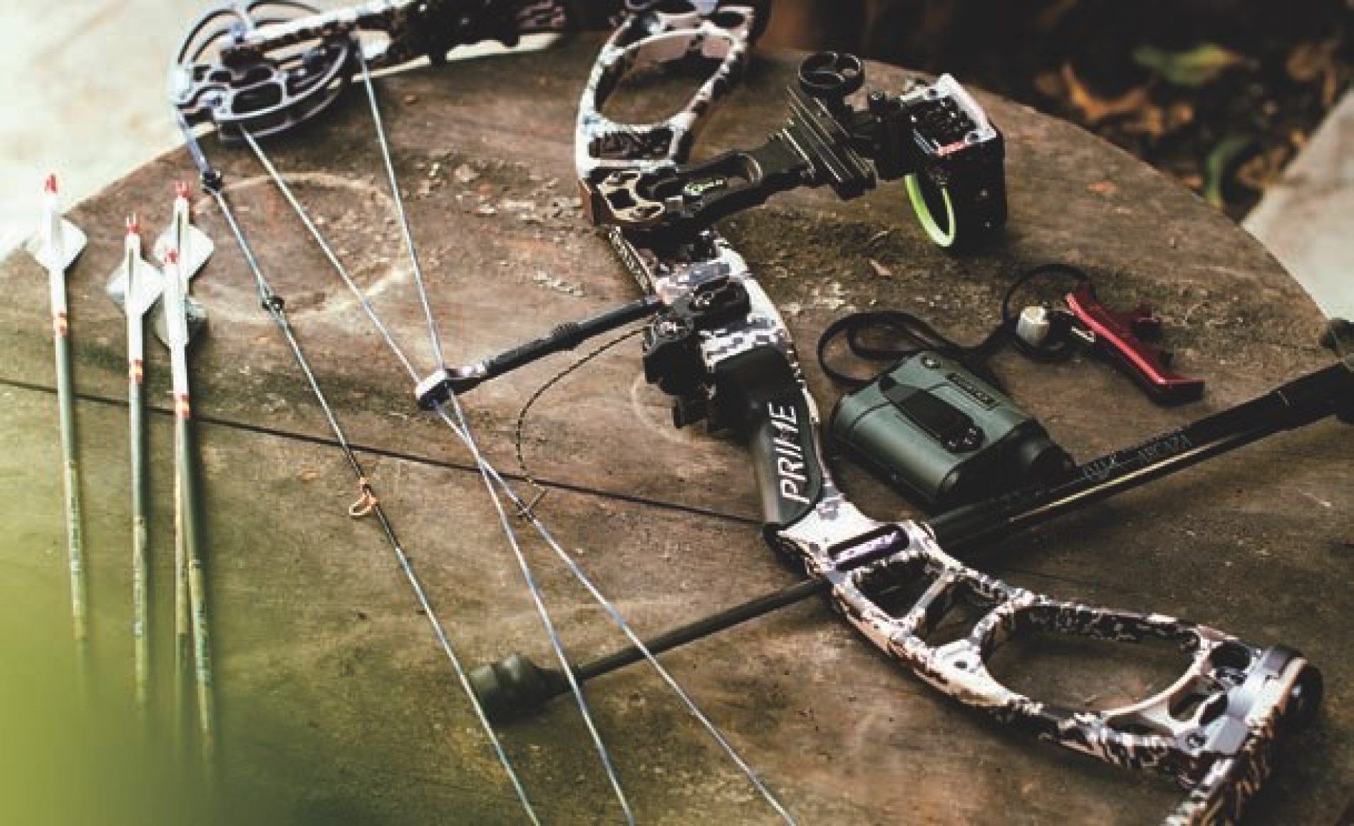 Tipos de arcos para caza. Introducción a la caza con arco (I) | Trofeo caza