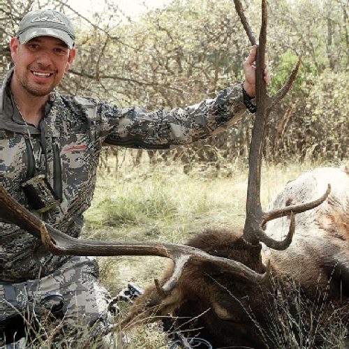 Tipos de arcos para caza. Introducción a la caza con arco (I) | Trofeo caza