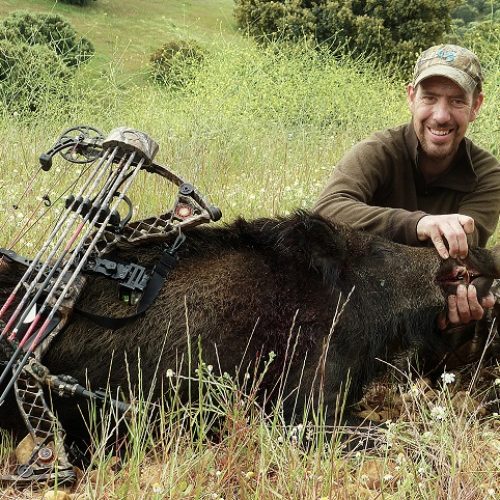 Tipos de arcos para caza. Introducción a la caza con arco (I) | Trofeo caza