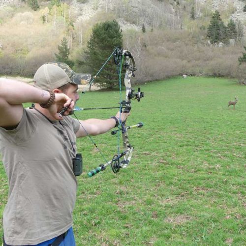 Tipos de arcos para caza. Introducción a la caza con arco (I) | Trofeo caza