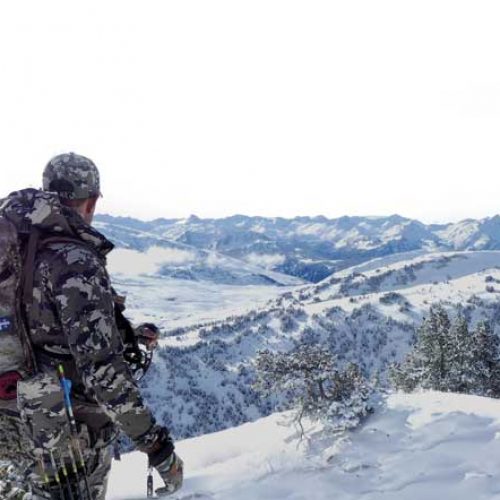 Tipos de arcos para caza. Introducción a la caza con arco (I) | Trofeo caza