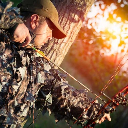 Tipos de arcos para caza. Introducción a la caza con arco (I) | Trofeo caza